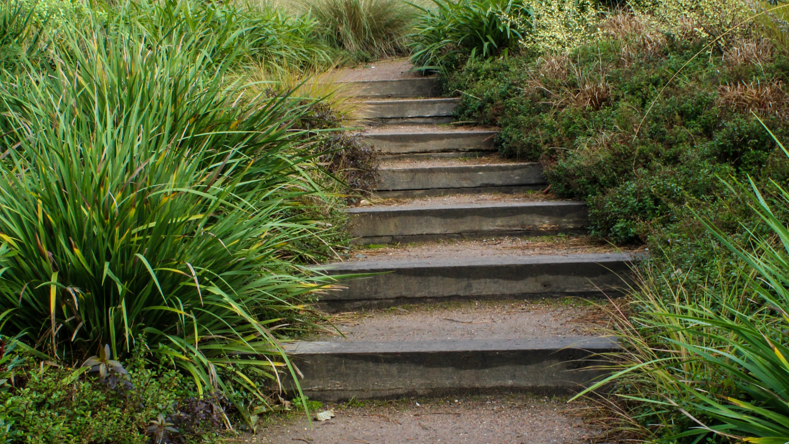 Landscape With Railroad Ties Steps How To Build Garden Steps With