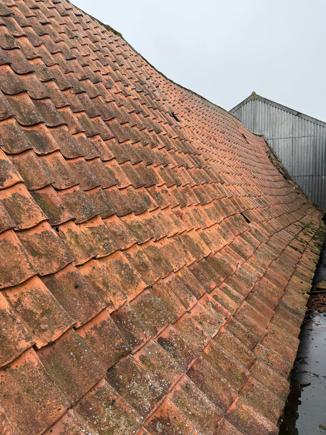Reclaimed Roofing Pan Tiles | Handmade Clay Pan Tile – Reclaimed Brick ...