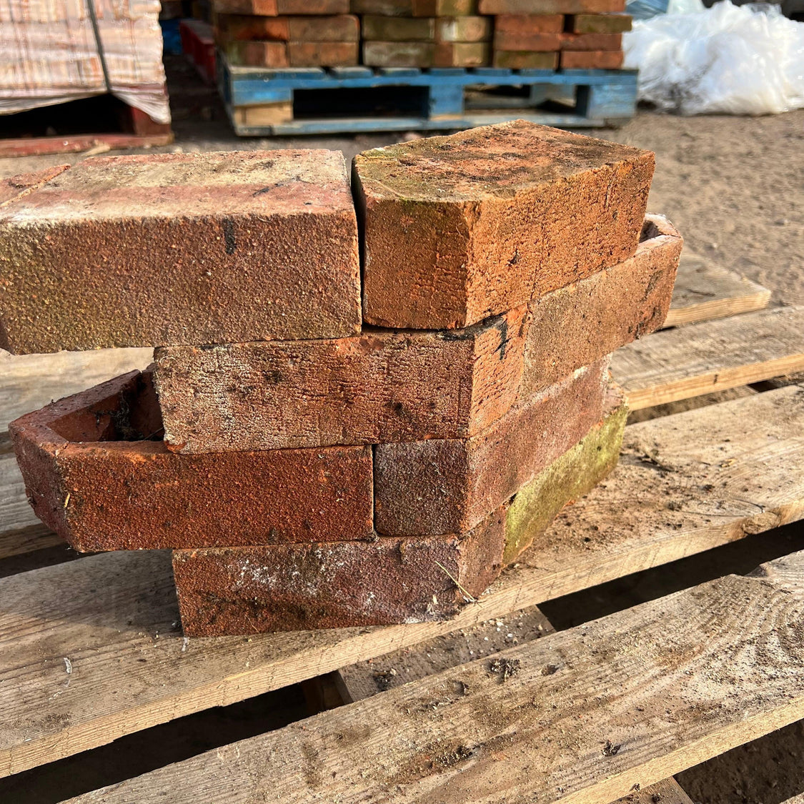 65mm Red 45° Squint Brick – Reclaimed Brick Company
