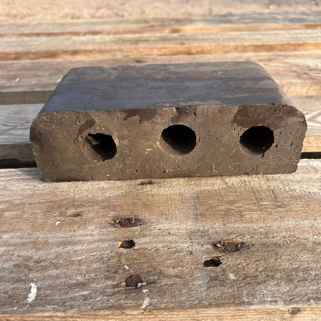 Blue Double Bullnose Coping Bricks – Reclaimed Brick Company