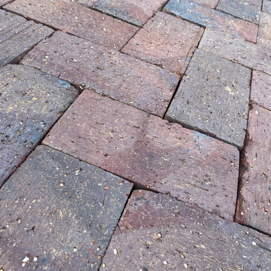 Brindle Blue Paving Brick | New Blue Paving Bricks | Garden Patio ...