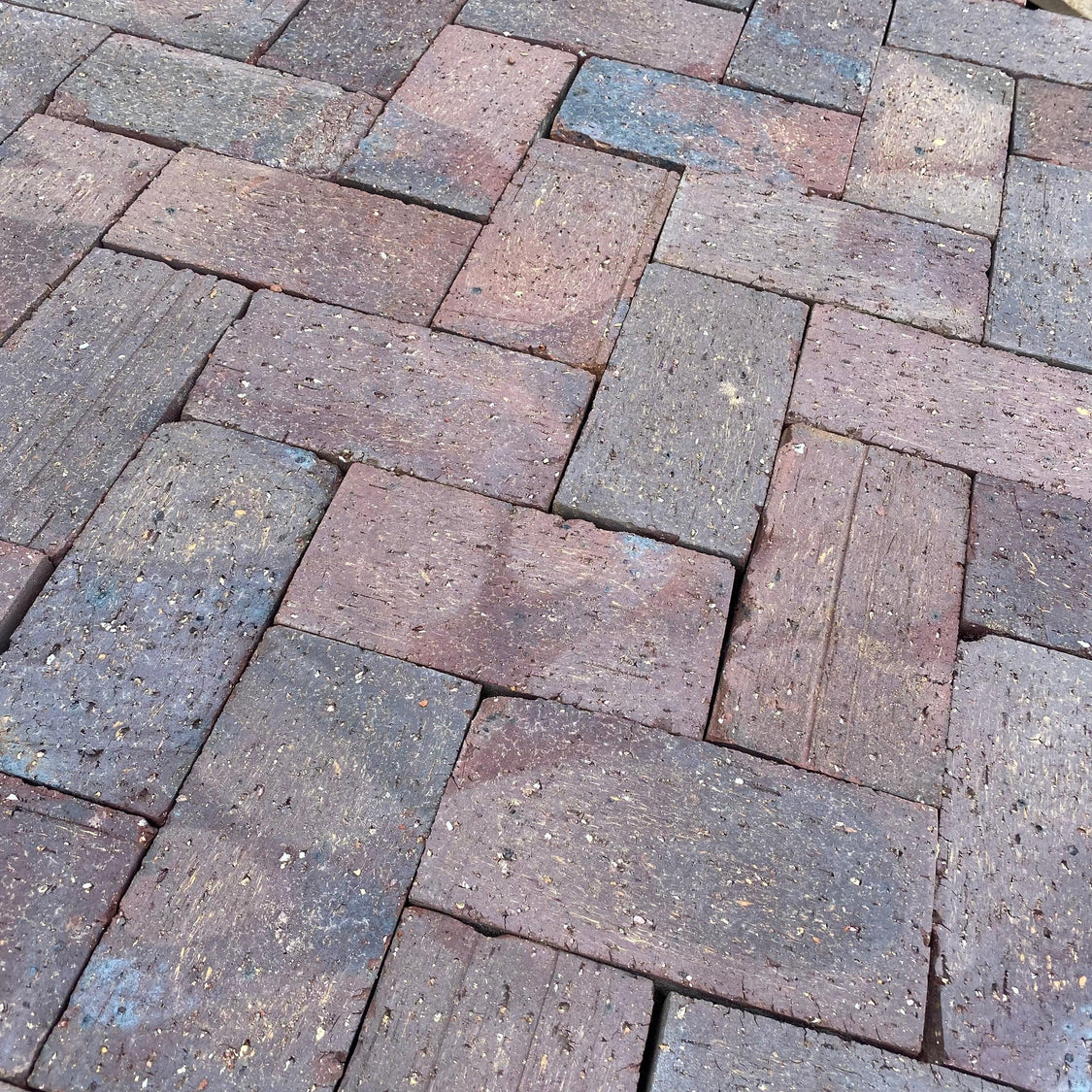 Brindle Blue Paving Brick | New Blue Paving Bricks | Garden Patio ...