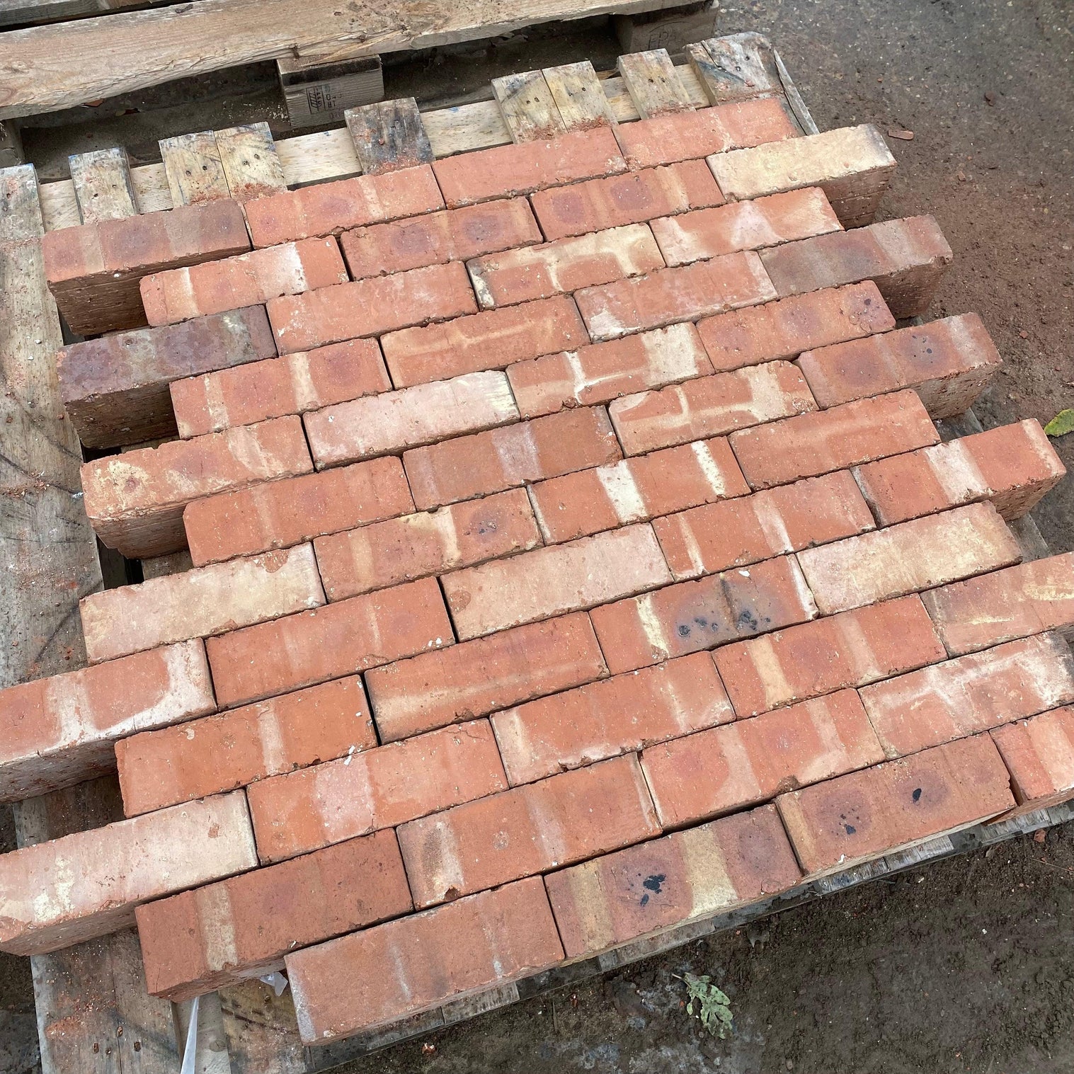 Cheshire Pre-War Common Wirecut Brick | Cheshire Wirecut Bricks ...