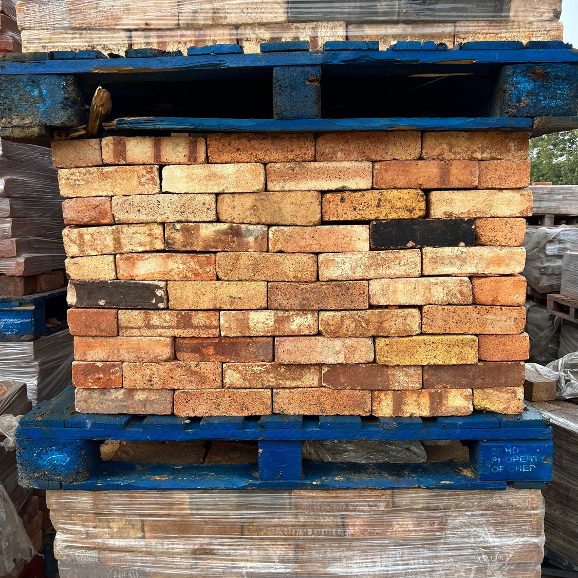Reclaimed 2 1/2” Yellow Blend Imperial Bricks | Pack of 250 Bricks | F ...