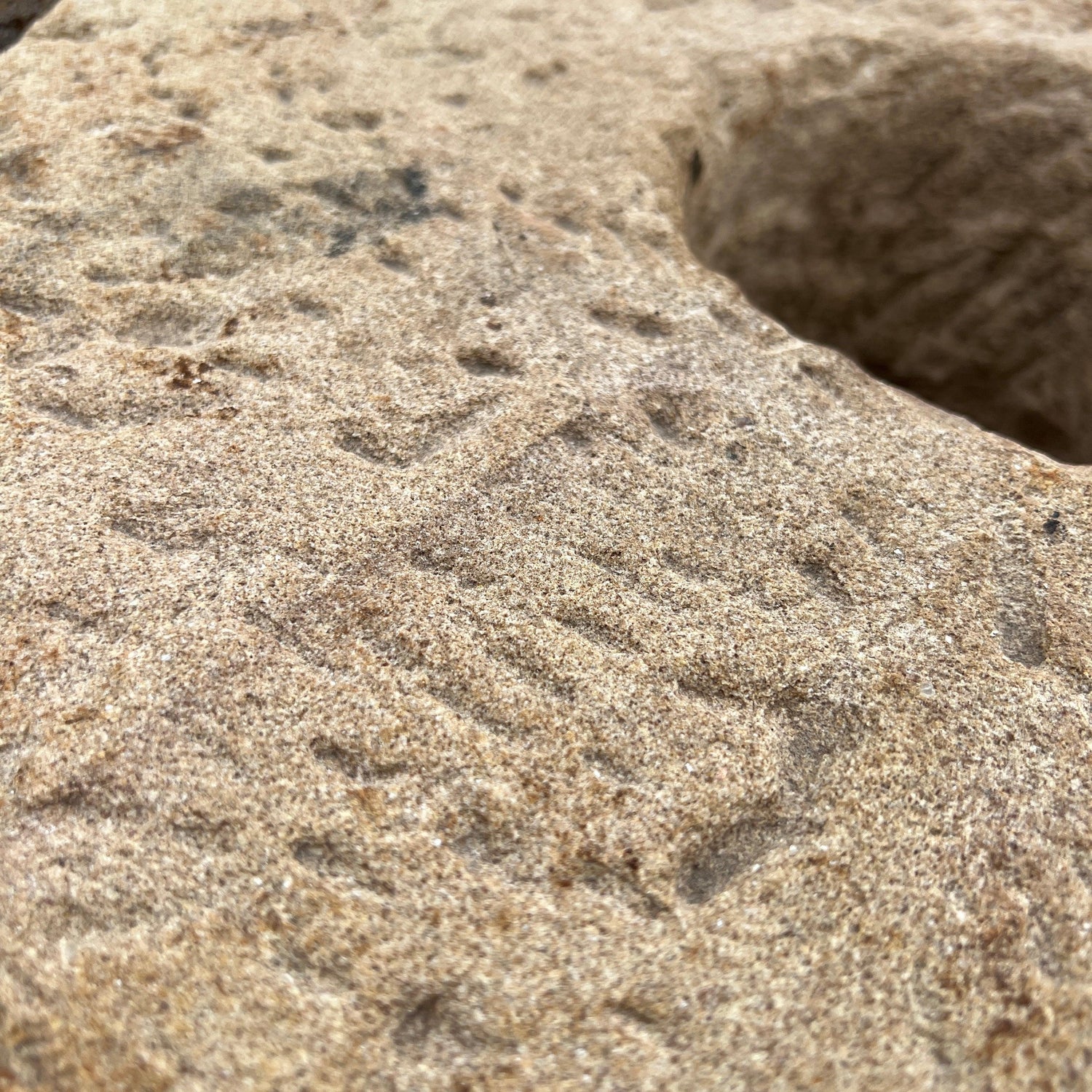 Reclaimed Mill Stones | Stone Salvage & Reclamation Yard | Shop Now ...