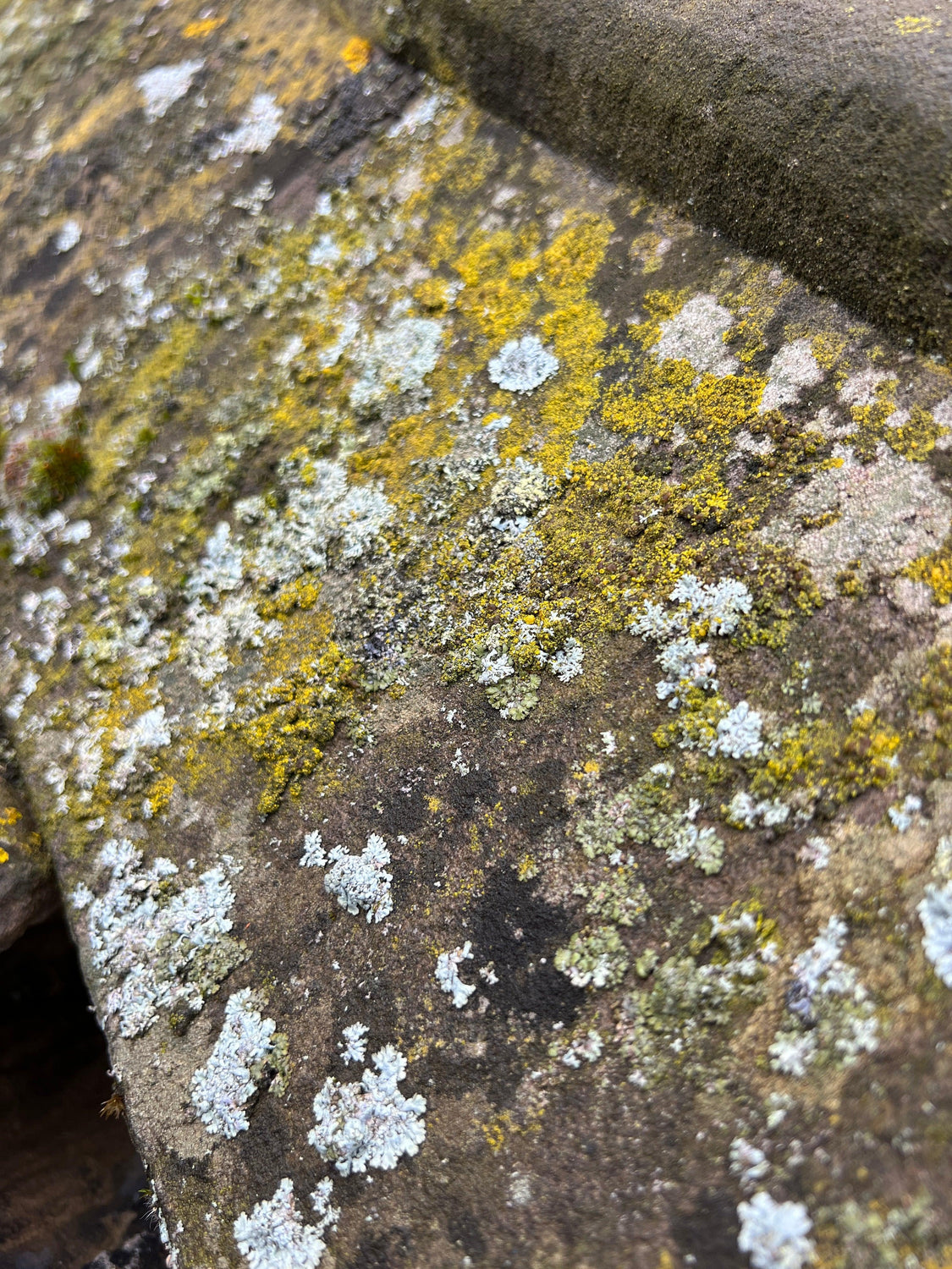 Reclaimed Roll Top Stone Roof Ridge Tiles - Job Lot – Reclaimed Brick ...