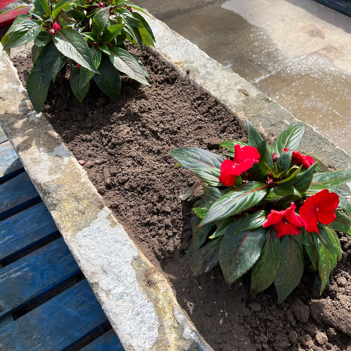 Reclaimed Stone Trough / Planter - No.11 – Reclaimed Brick Company
