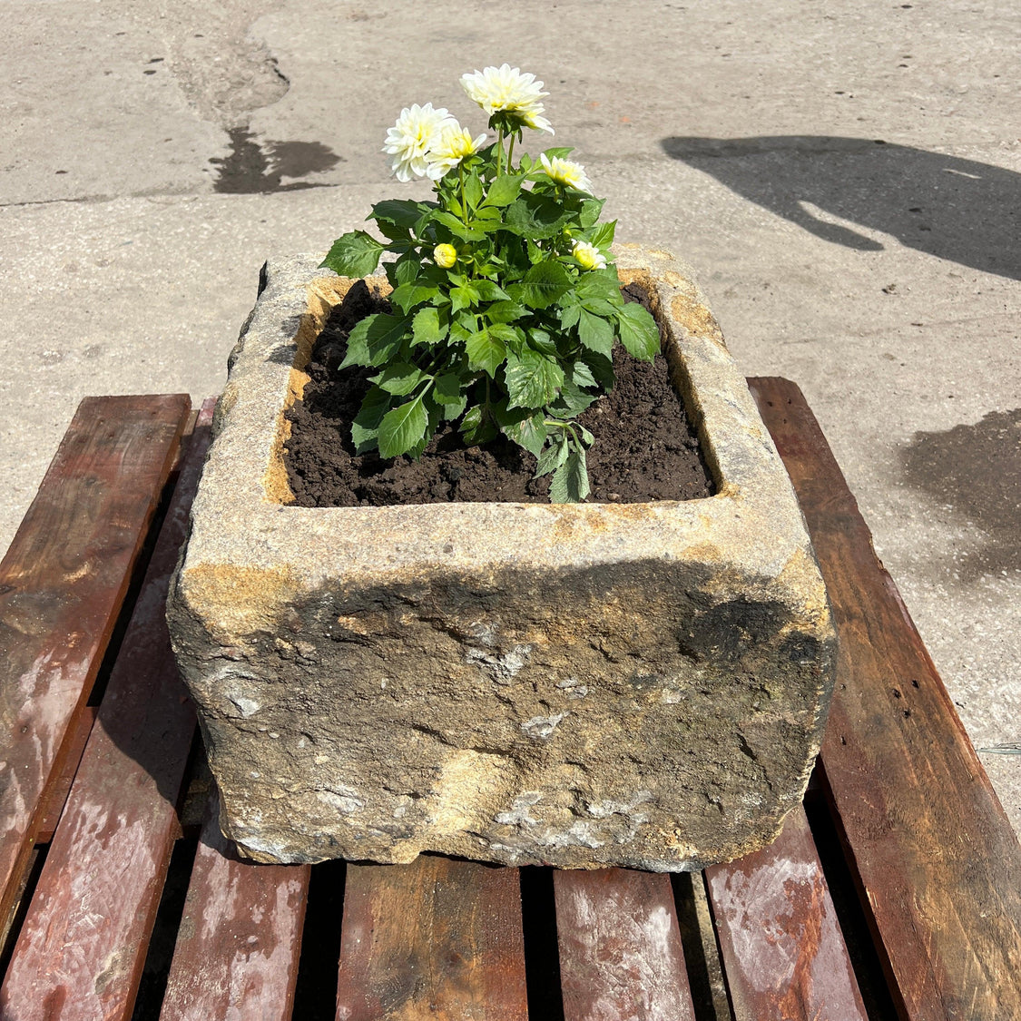Reclaimed Stone Trough / Planter - No.13 – Reclaimed Brick Company