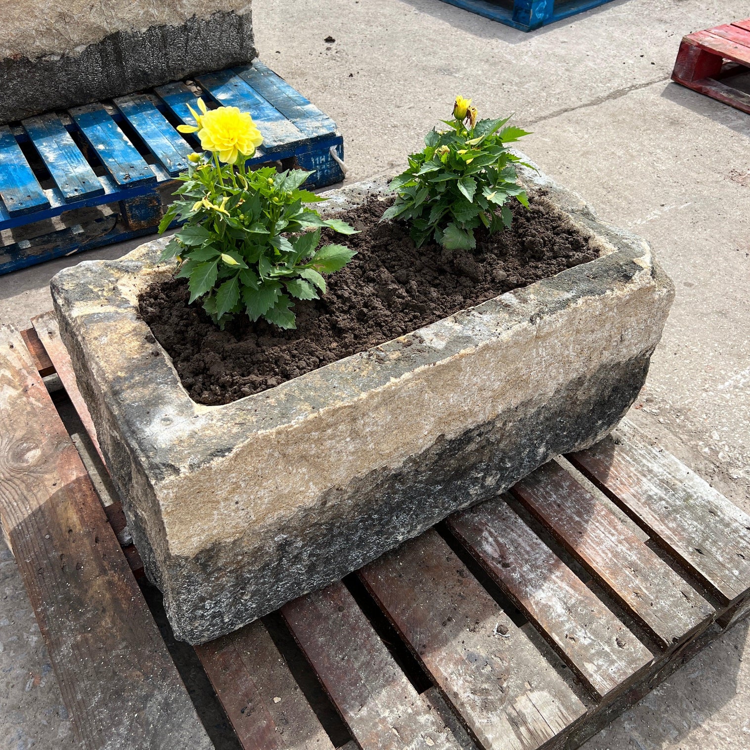 Reclaimed Stone Trough / Planter - No.17 – Reclaimed Brick Company