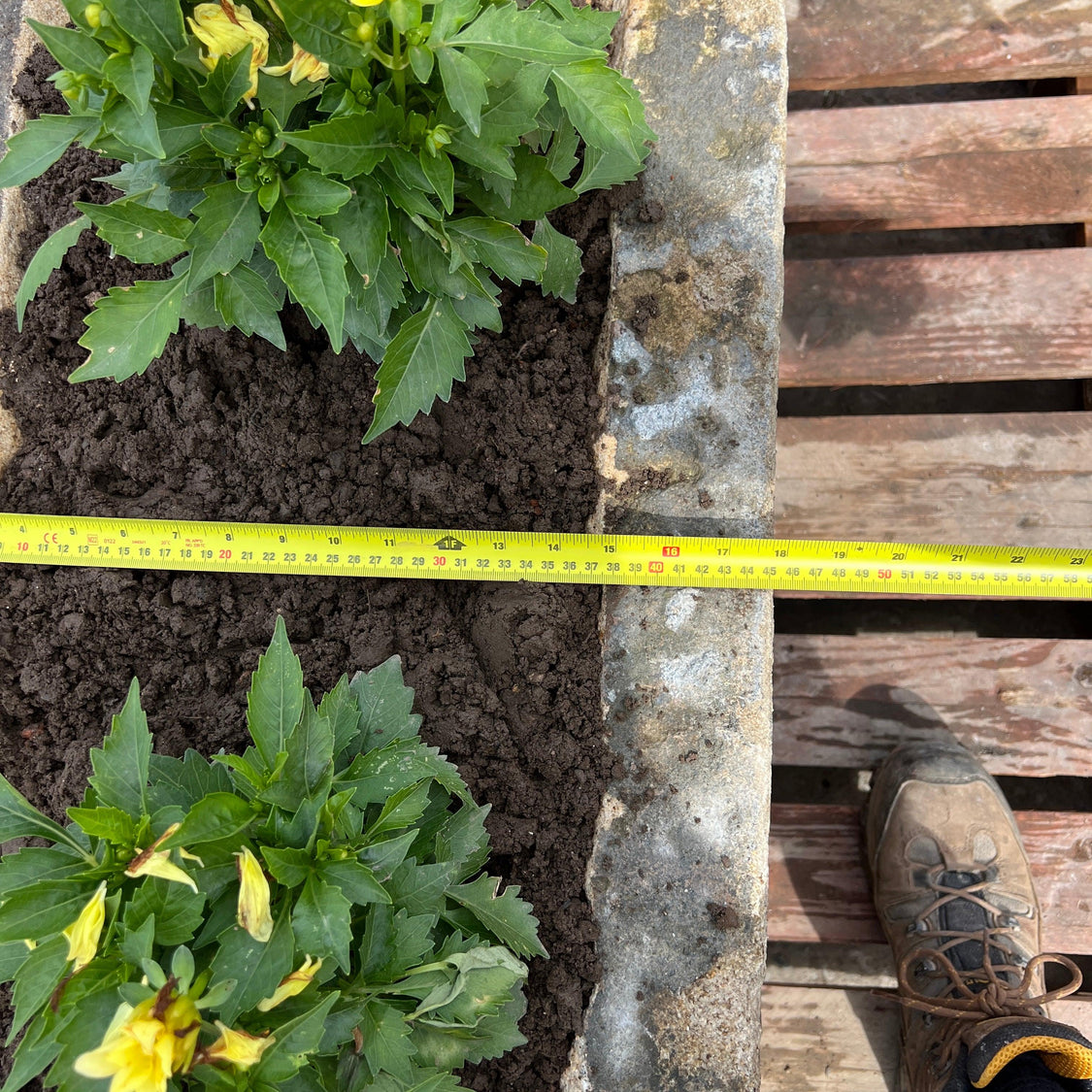 Reclaimed Stone Trough / Planter - No.17 – Reclaimed Brick Company