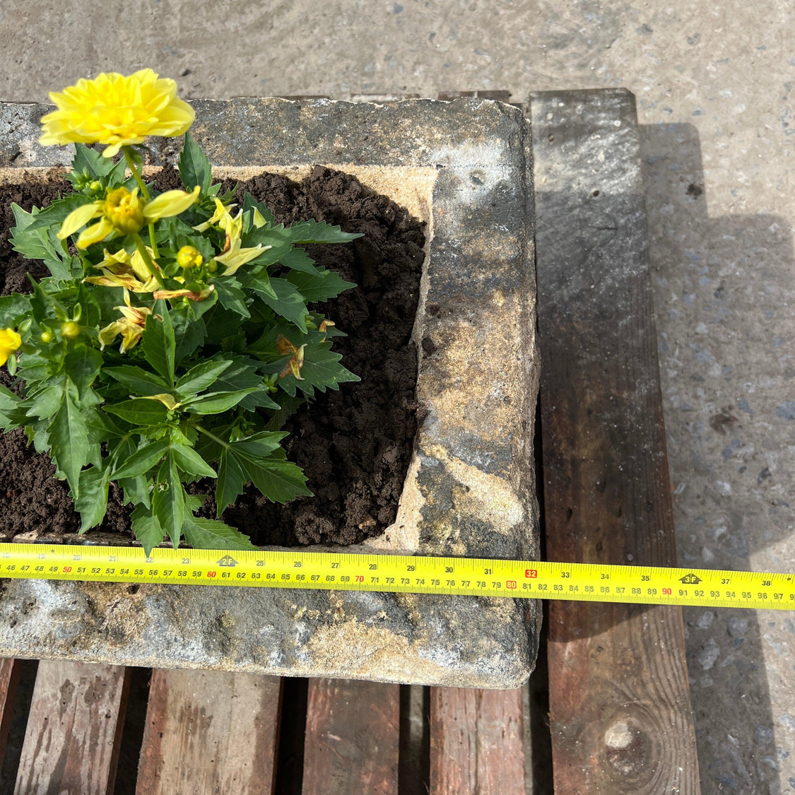 Reclaimed Stone Trough / Planter - No.17 – Reclaimed Brick Company