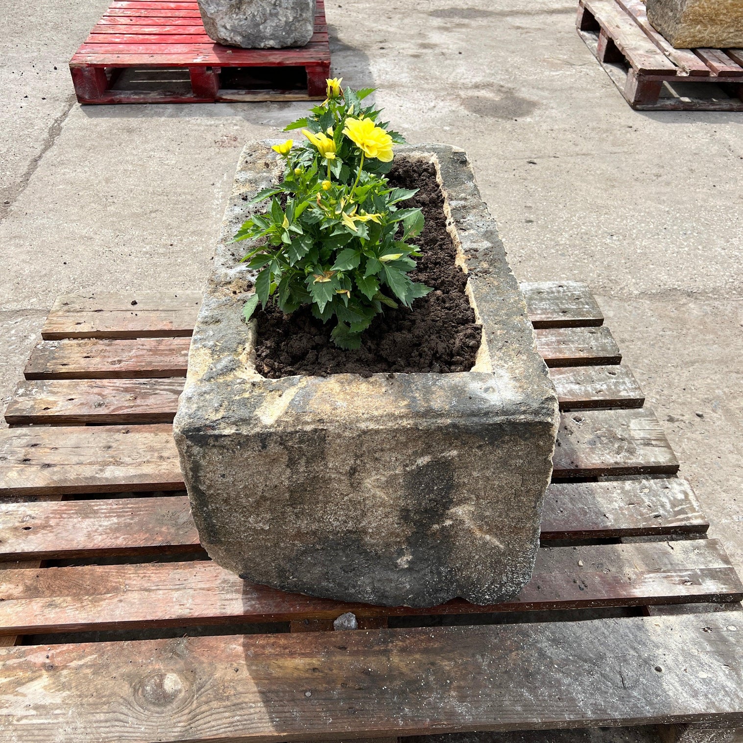 Reclaimed Stone Trough / Planter - No.17 – Reclaimed Brick Company